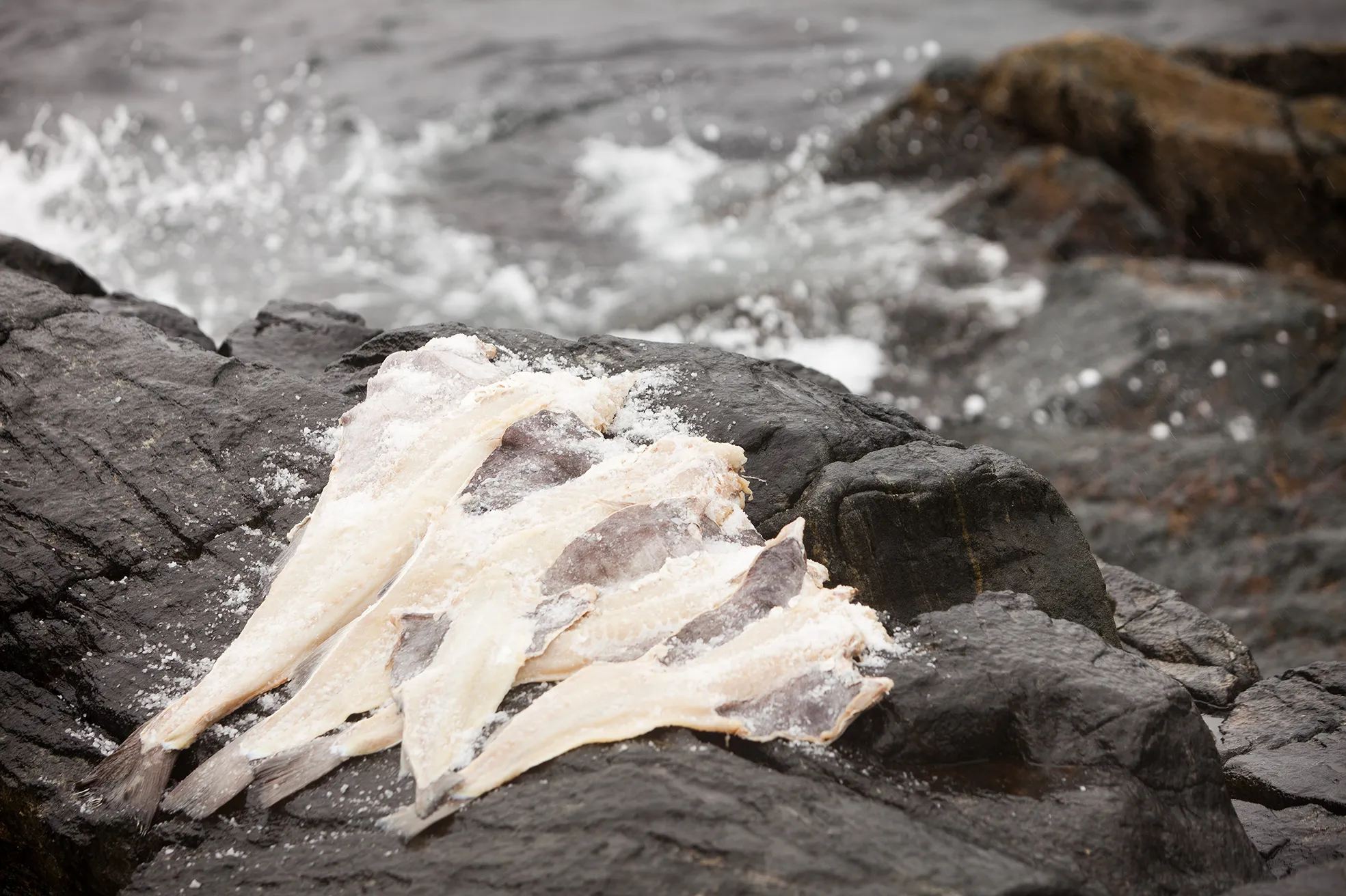Salted and dried fish - Br. Karlsen